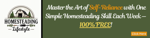 10 Effective Homestead Root Cellar Ideas (2025 Guide) To Preserve Food ...